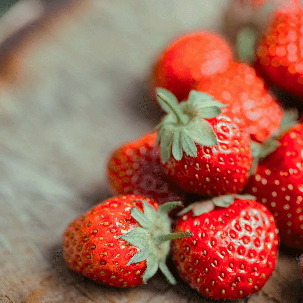 Everything You Need to Know About Salvestrols | Salvacare