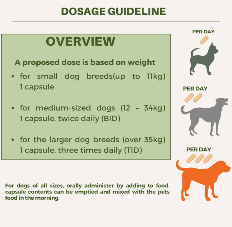 Dog-health & Nutrition - Lupostrol – Salvacare