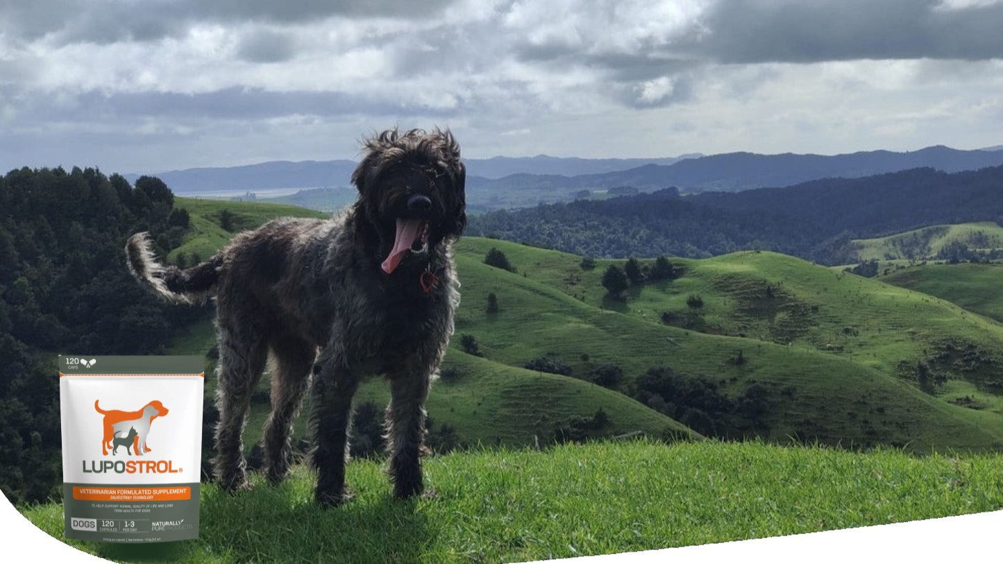 Salvacare | Creating A Safe Space For Your Health